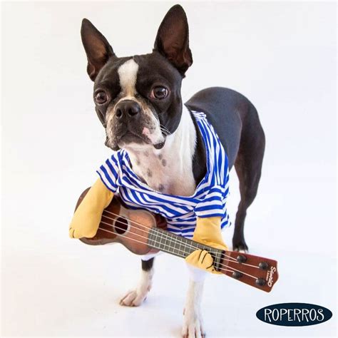 Disfraz Coco Xl Lider