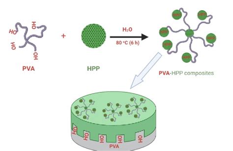 Chemical Covalent Interaction Between Hpp And Pva To Form Pva