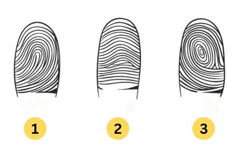 Personality Test What Your Fingerprint Says About You