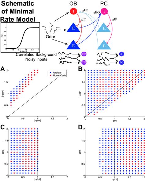 Minimal Firing Rate Model To Analyze Important Synaptic Conductance Download Scientific Diagram