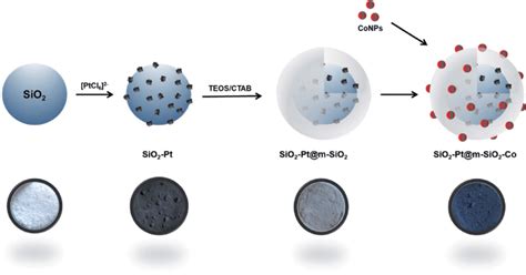 Steps Applied For The Synthesis Of The Core Shell Catalyst And Their Download Scientific