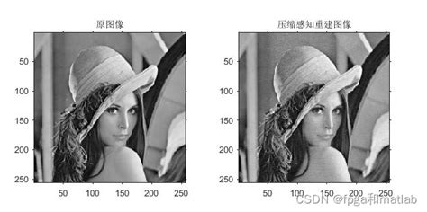 Cs Bp压缩感知的图像重建算法matlab仿真压缩感知图像重构 Csdn博客