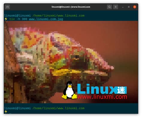 c 实现在 linux 终端中显示图像 linux迷