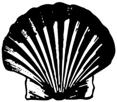 Shell plc Wikipédia a enciclopédia livre