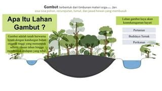 Pelestarian Sumberdaya Lahan Gambut Pptx