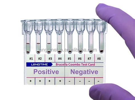 Longtime Brucella Antigen Rapid Test Card Quick Test Brucellosis For Cattle Sheep