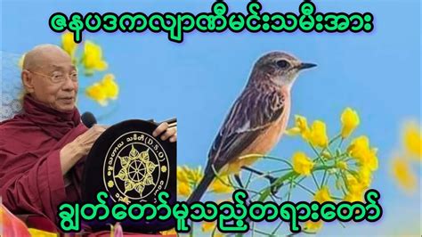 ဇနပဒ က လျာဏီ မင်းသမီးအား ချွတ်တော်မူခန်းတရားတော်။ Youtube