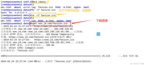 Nginx 变量 日志分割 自定义图标 证书 （四）