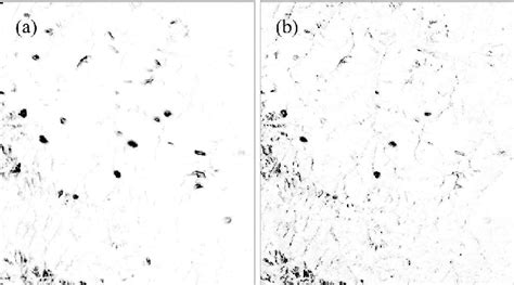 Table 1 From Comparison Between Dinsar And Stacking In Deformation Monitoring Using Lutan 1