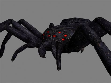 Araneae Tenebrae With 16 Animations Soonly Available On The Asset Store Community Showcases