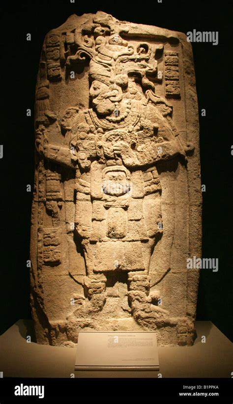 Stela 51 From Calakmul Campeche A Mayan Relief In The National Museum