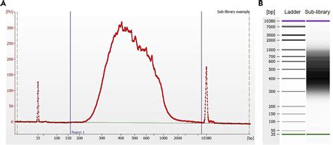Cell Press Star Protocols
