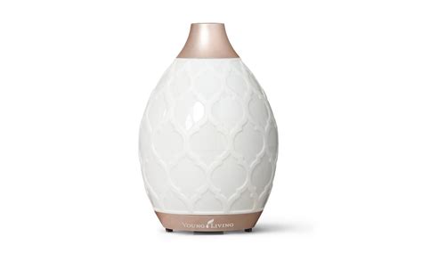 7 Merk Diffuser Terbaik Dilengkapi Kelebihan Dan Kekurangannya