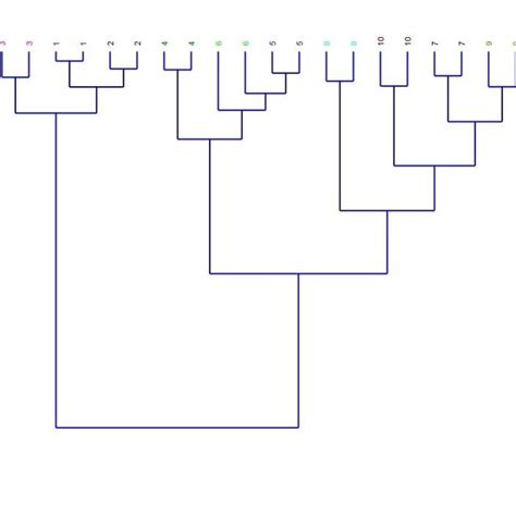 Ward Dendrogram Of Morphological Data Download Scientific Diagram
