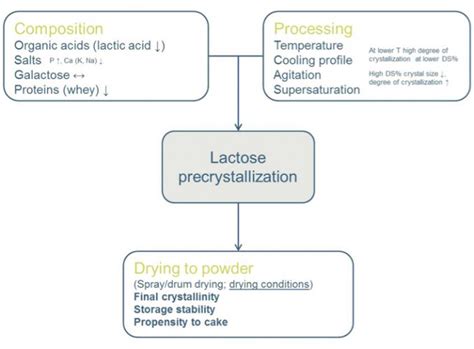 Unravelling Acid Whey Processing By Understanding Lactose Crystallisation