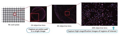 Digital Sight 50m Cameras Microscope Products Nikon Instruments Inc