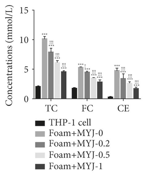 Myj Increased Cholesterol Efflux In Thp 1 Macrophage Derived Foam