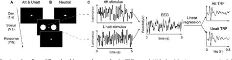 Figure 1 From Selective Spatial Attention Involves Two Alpha Band