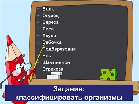 Принципы современной классификации живых организмов презентация онлайн
