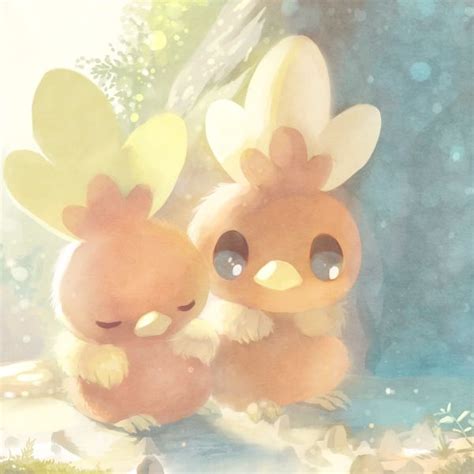 Cute Torchic Wallpaper
