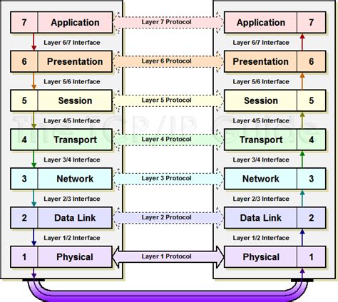 osi model in data communication and networking osi model networking