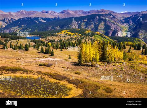 Fall Color Along The San Juan Skyway From Molas Pass San Juan National
