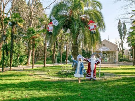 Сочи путеводитель по главным зимним достопримечательностям и событиям — Яндекс Путешествия