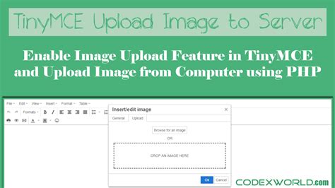 Server Side Image Upload In Tinymce Editor Using Php Codexworld Web