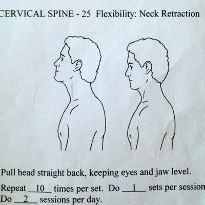 Scapular Retraction Prone By Tammi R Exercise How To Skimble