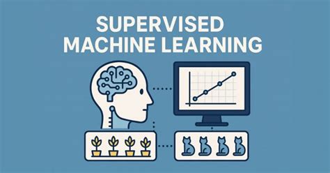 Classification Algorithm In Machine Learning Types And Examples