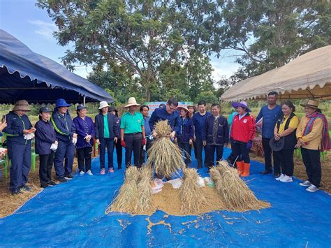 วันที่ 8 พฤศจิกายน 2566 องค์การบริหารส่วนตำบลนาเดื่อ เข้าร่วม กิจกรรม สืบสานประเพณีไทย ร่วมใจ