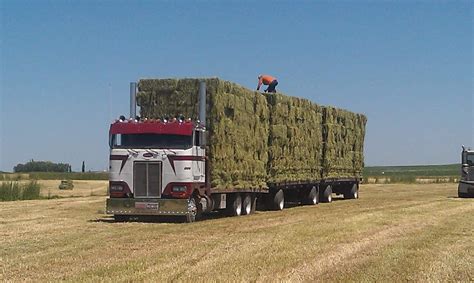 Pin By Scott Ackerman On Hay Haulers Big Rig Trucks Vintage Trucks