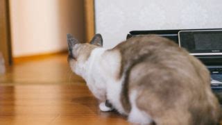 PHPで日付や時刻の文字列へ変換と文字列から日付や時刻への変更 ちょっと便利なてっちーノート