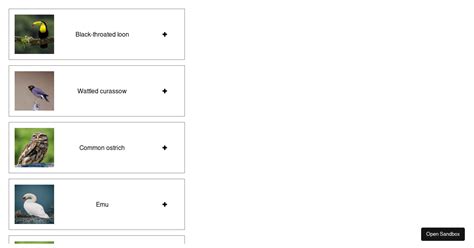 Birds Library Codesandbox