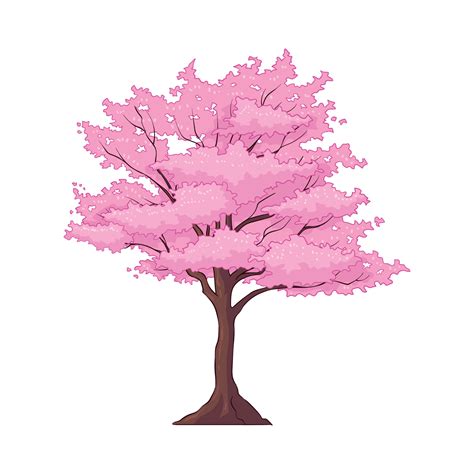 Hand Drawn Sakura Tree 24116278 Vector Art At Vecteezy