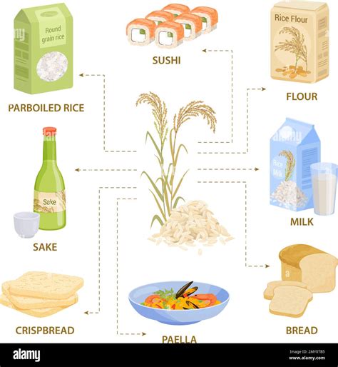 Rice Products Flat Infographic Composition With Flowchart Of Product