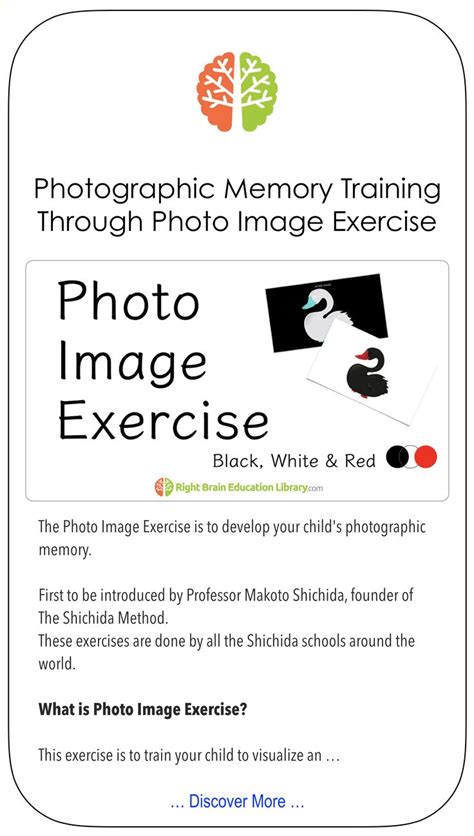 Photographic Memory Training Through Photo Image Exercise