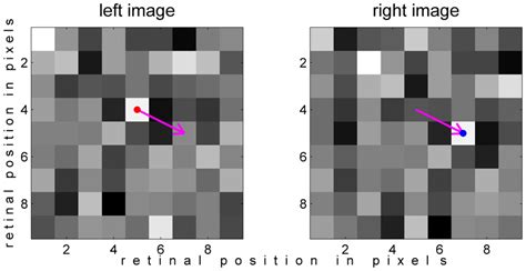 example image pair these have horizontal disparity 2 pixels and