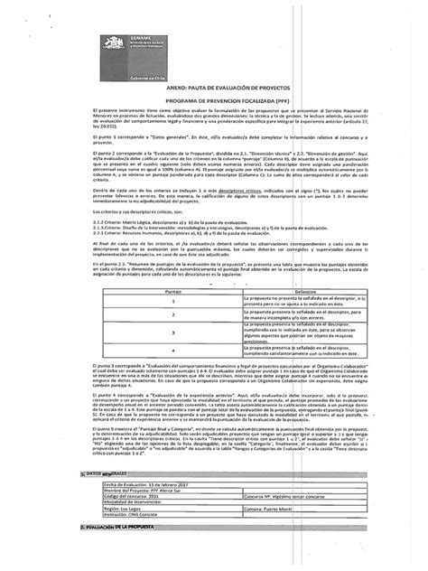 3931 Evaluación Ppf Alerce Sur Ong Coincide Pdf