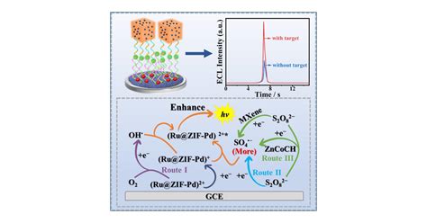Ultrasensitive Electrochemiluminescence Aptamer Sensor Based On Ruzif Pd Cathode For