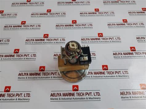Cherry Elect E19 Snap Action Switch 250v Aeliya Marine