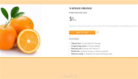 تصميم وتطوير واجهات ويب متجاوبة باستخدام html و css خمسات