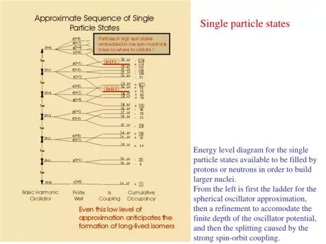 Ppt Single Particle States Powerpoint Presentation Free Download