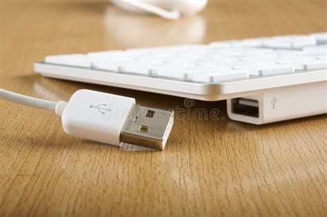 Keyboard And Usb Connect Stock Image Image Of Close