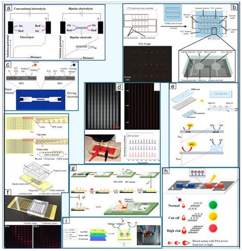 Bioengineering An Open Access Journal From Mdpi