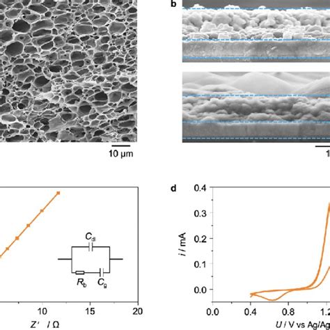 In Situ Tpv Measurement A Schematic Experimental Setup Of Tvp