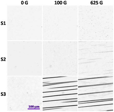 Phase Contrast Microscopy Images Showing Field Induced Aggregation Of