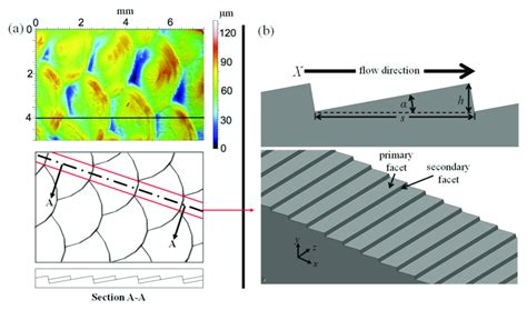 Fish Scale Geometry A Natural And B Analyzed Download
