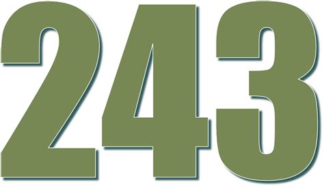 О числе 243 двести сорок три математические свойства перевод склонение и факты Про числа