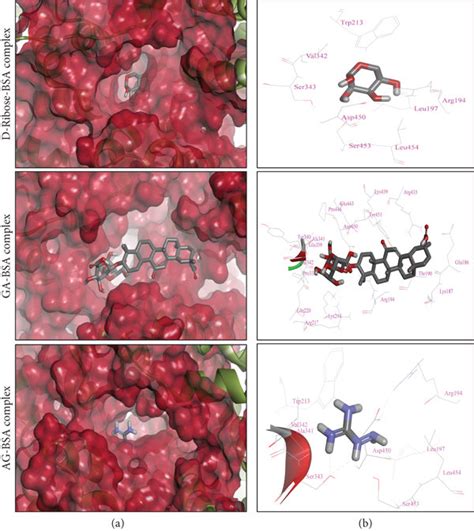 Molecular Binding Of D Ribose Ga And Ag With Bsa Pdb Id 4f5s A